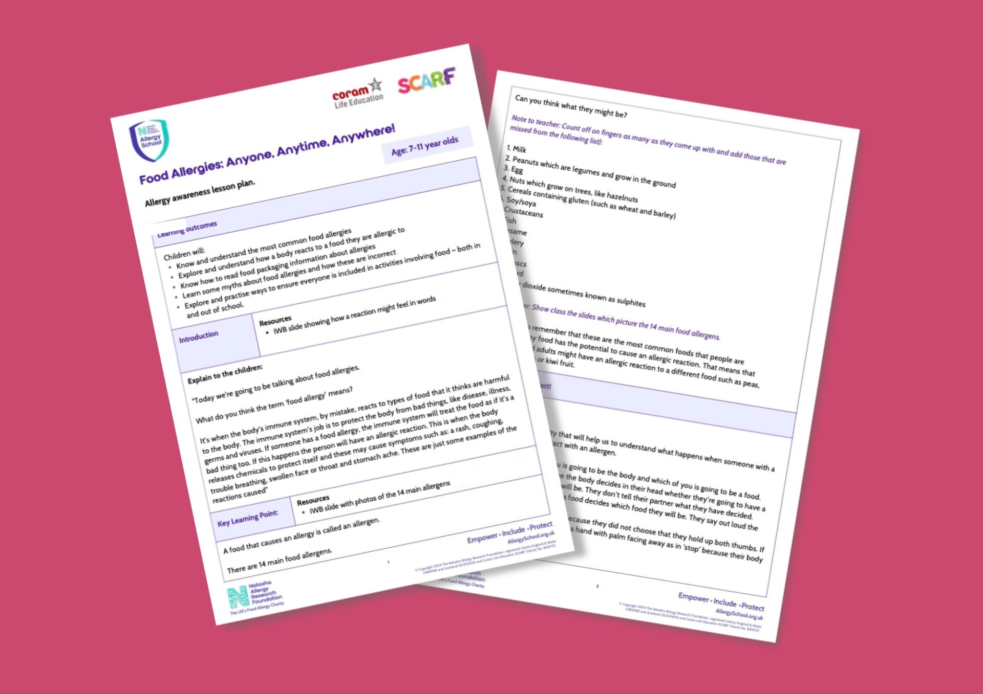 Welcome to NARF Allergy School, Teaching Children About Food Allergies