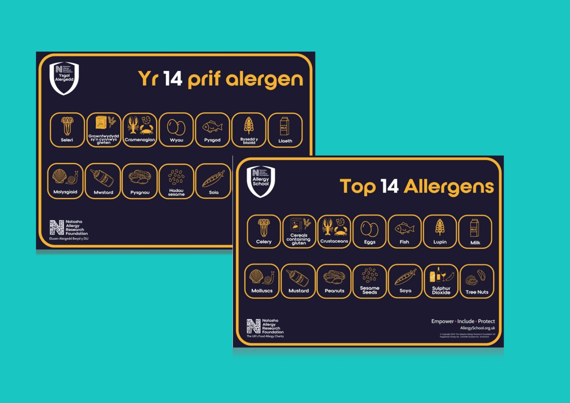 Top 14 Food Allergens (colour) - Allergy School