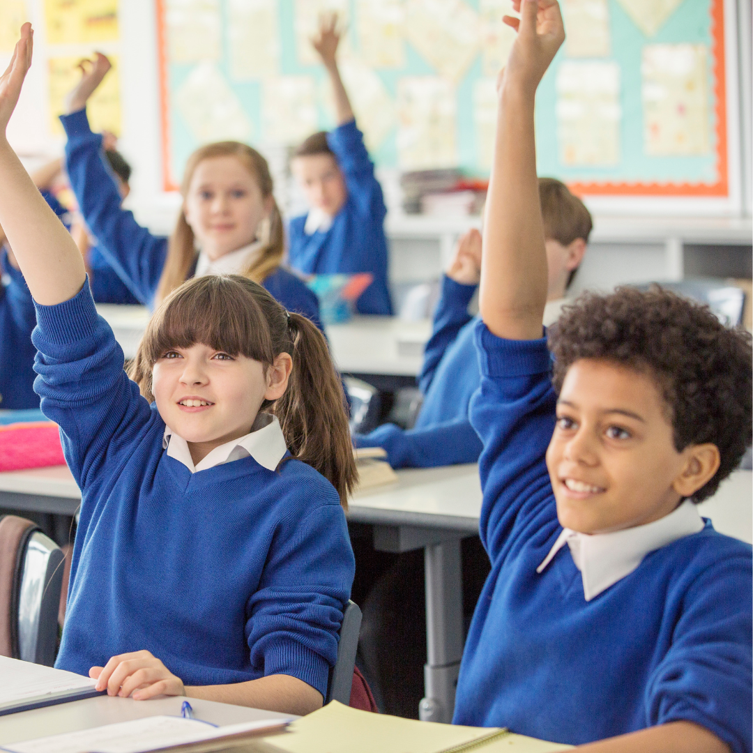 Welcome to NARF Allergy School, Teaching Children About Food Allergies